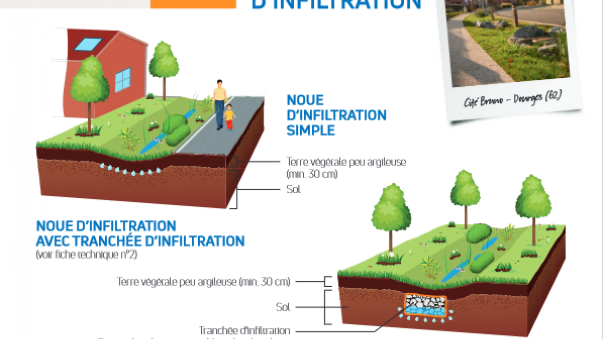 Fiche technique n° 1 : La noue d’infiltration | Eau et ville