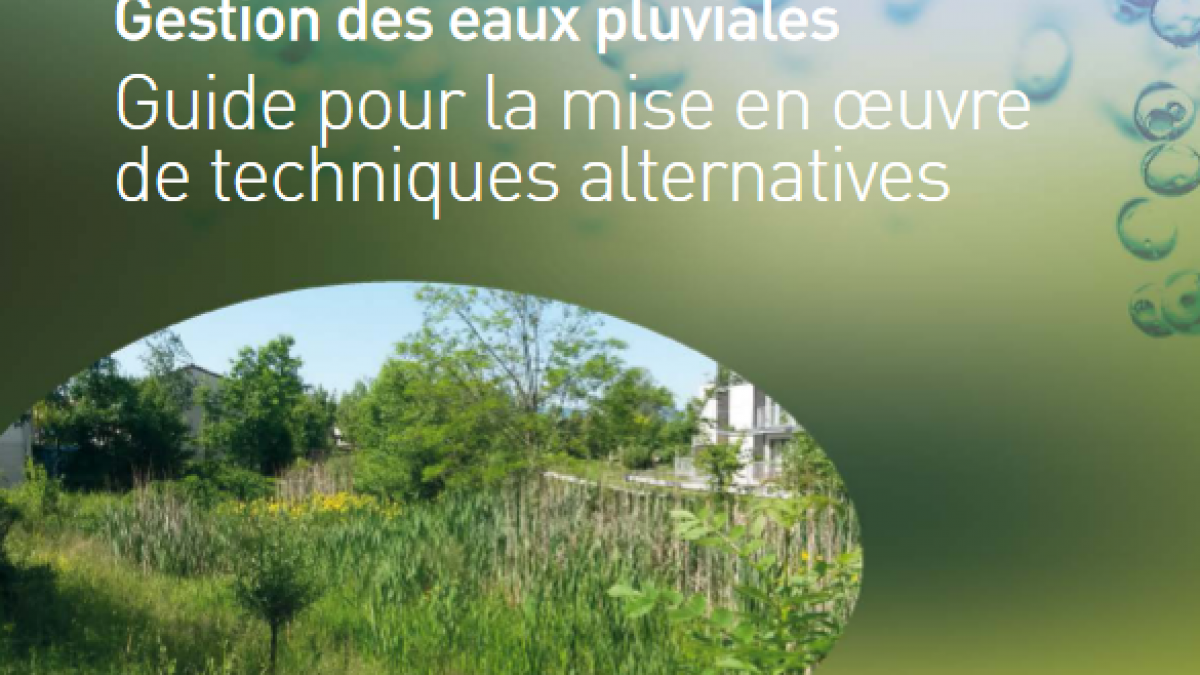 Gestion des eaux pluviales - Guide pour la mise en œuvre de techniques alternatives | Eau et ville