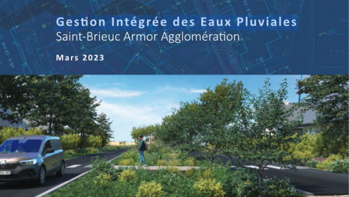 Guide pratique - Gestion Intégrée des Eaux Pluviales | Eau et ville